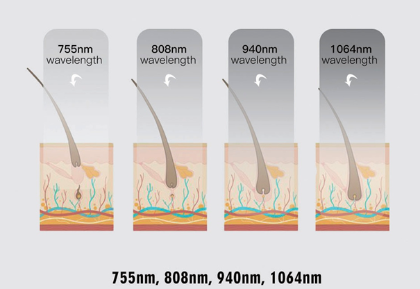 Derma-Tech.de - Technologie für Ihre natürliche Schönheit. - S500 Diode ...